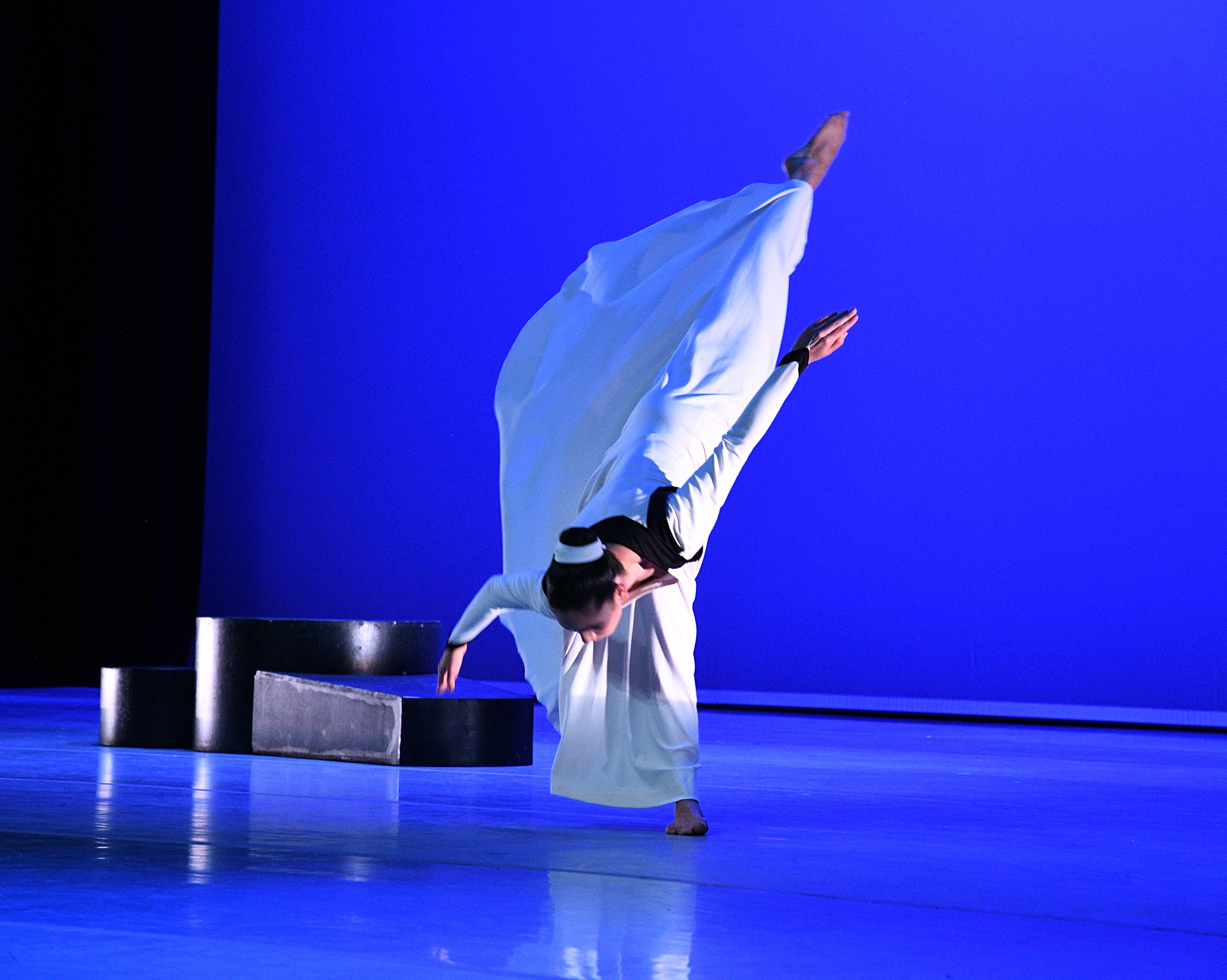 New World Dance Ensemble @ Aventura | Broward Center for the Performing ...