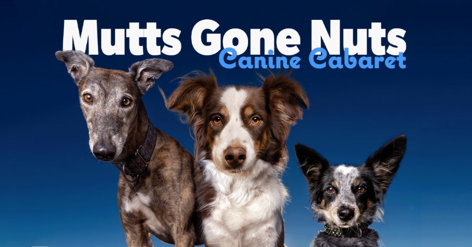 Mutts Gone Nuts: Unleashed! | Broward Center for the Performing Arts