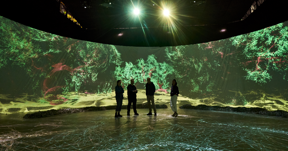 IGNITE Art & Light Festival | Broward Center for the Performing Arts