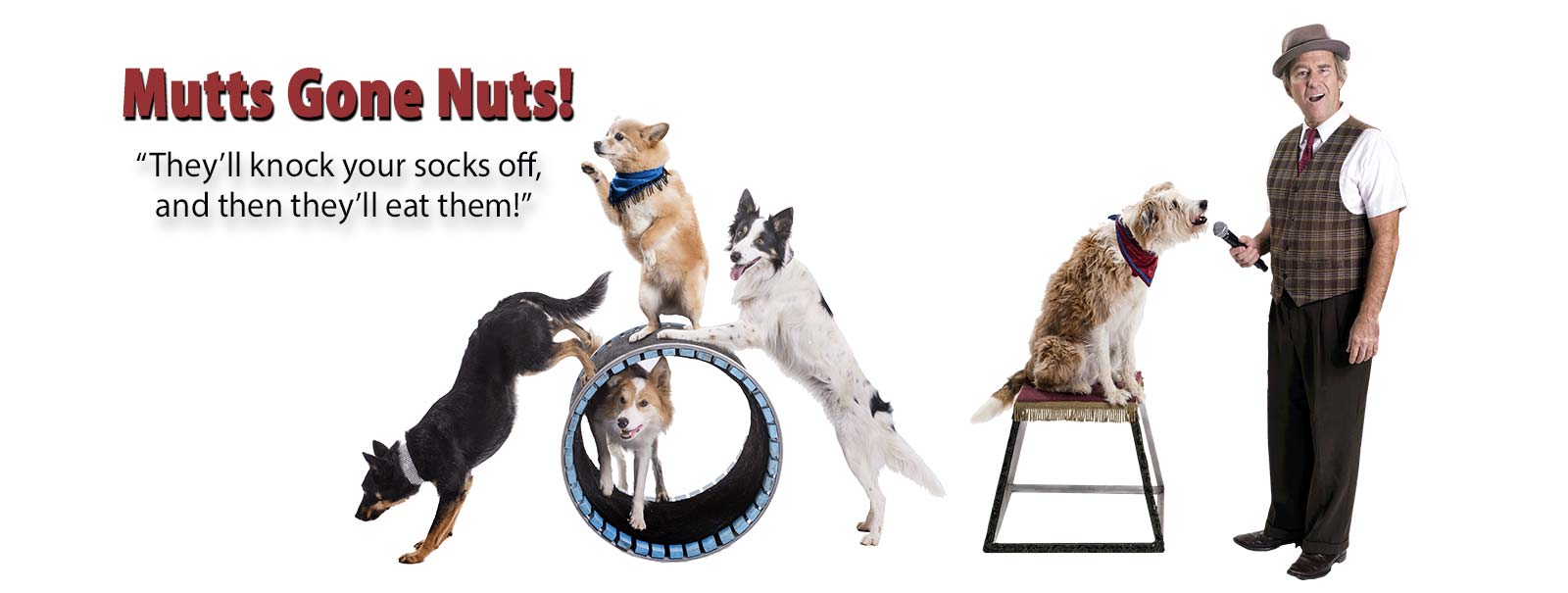 Mutts Gone Nuts | Aventura Center