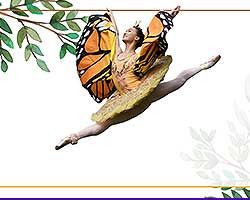 Broward Center for the Performing Arts